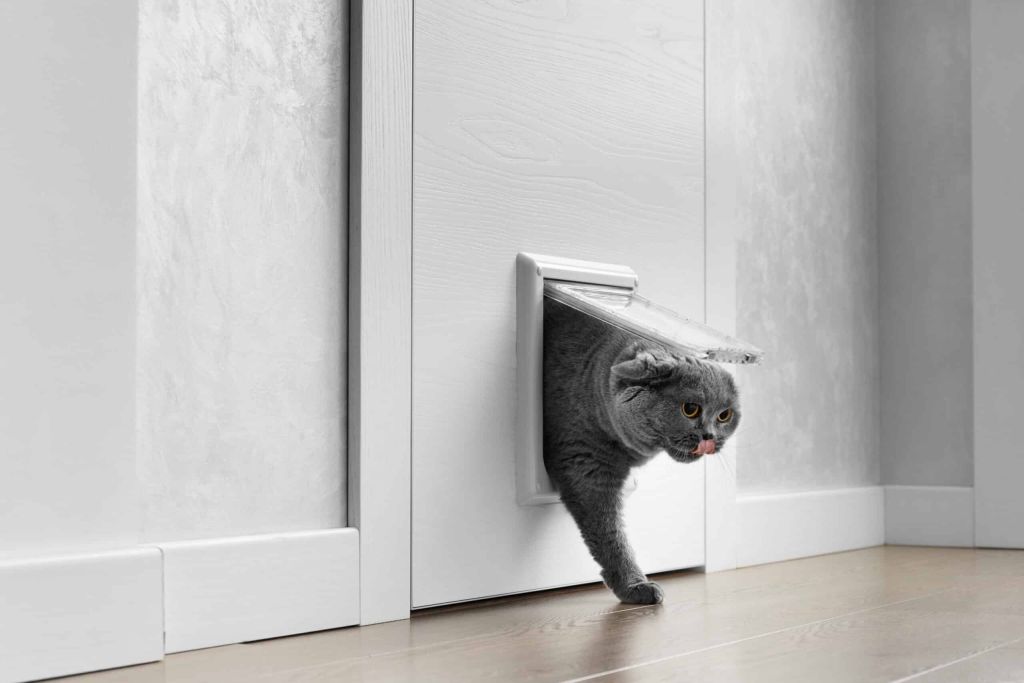 Cat Flaps in Composite Doors: A Guide for Pet-Friendly Homes ...