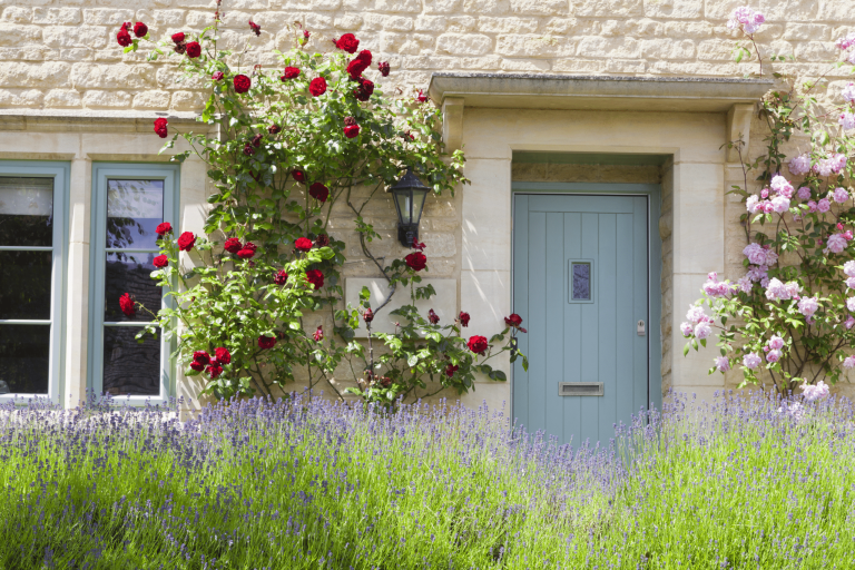 Cottage front doors: design and inspiration - Alexander Windows