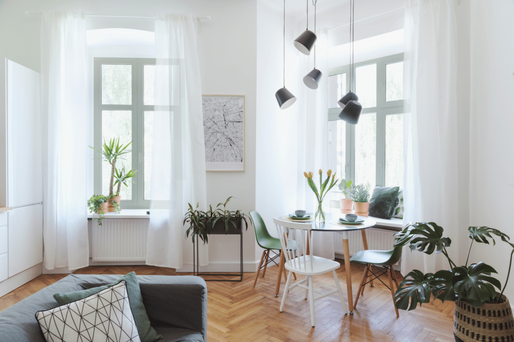 The art of colour - Alexander Windows